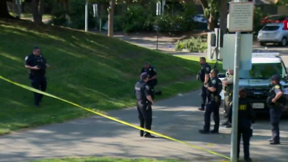 3 shot at Community Park in Davis on Picnic Day