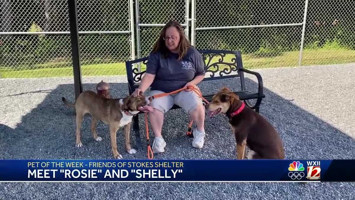 Noon Pets Of The Week: Rosie & Shelly