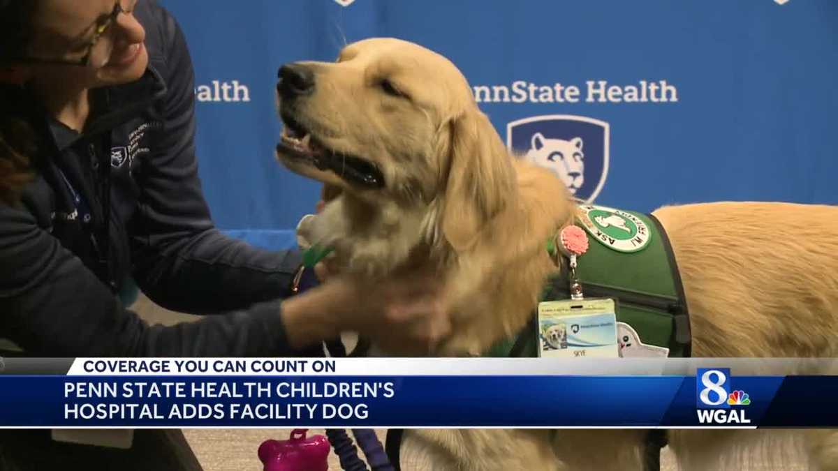 Meet Skye, Penn State Health's newest facility dog