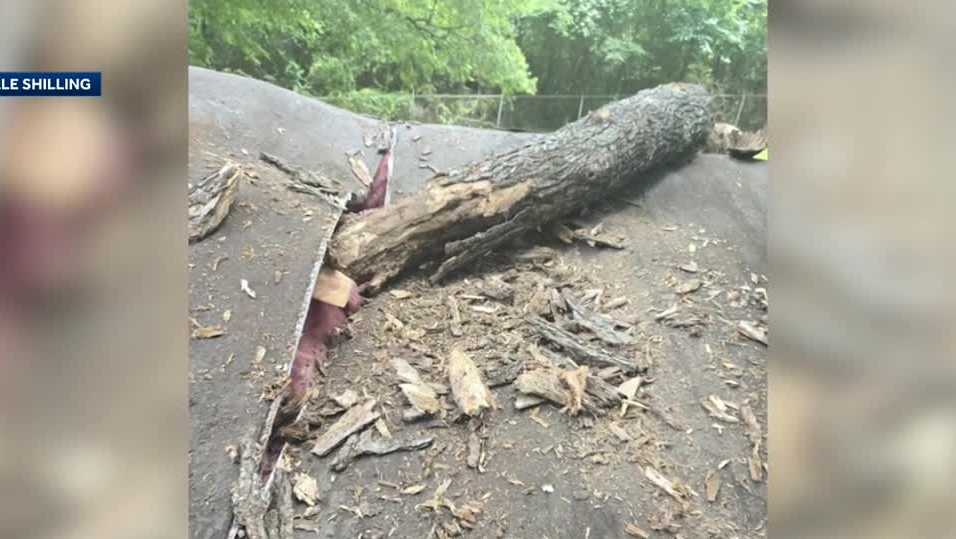 Alabama woman faces challenges in home repair after tree damage