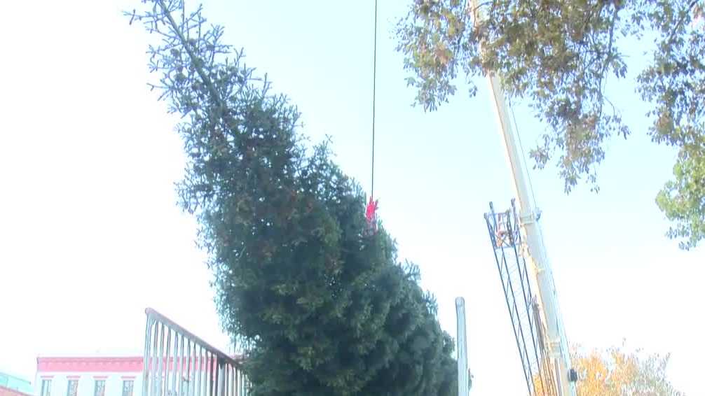 When you can see the Old Sacramento holiday tree lit up