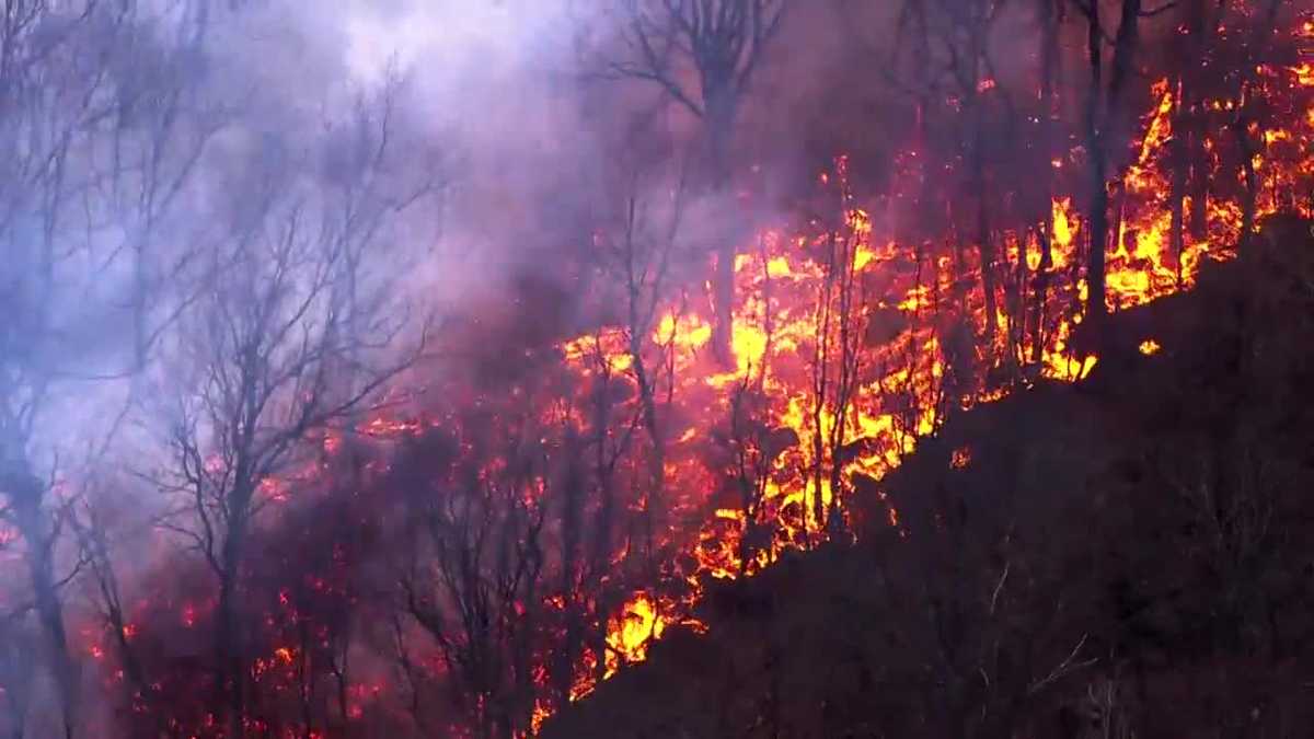 Ohiopyle State Park forest fires