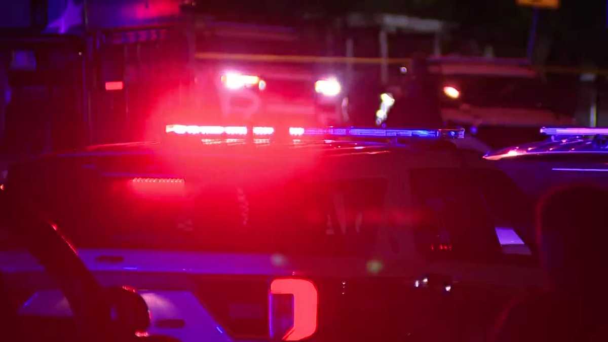 2 killed after being hit by IndiGo bus in Indiana, Pennsylvania