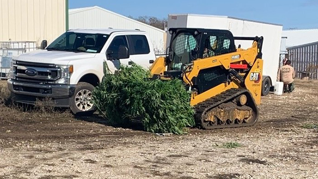 Oklahoma law enforcement makes large pot bust amid operation