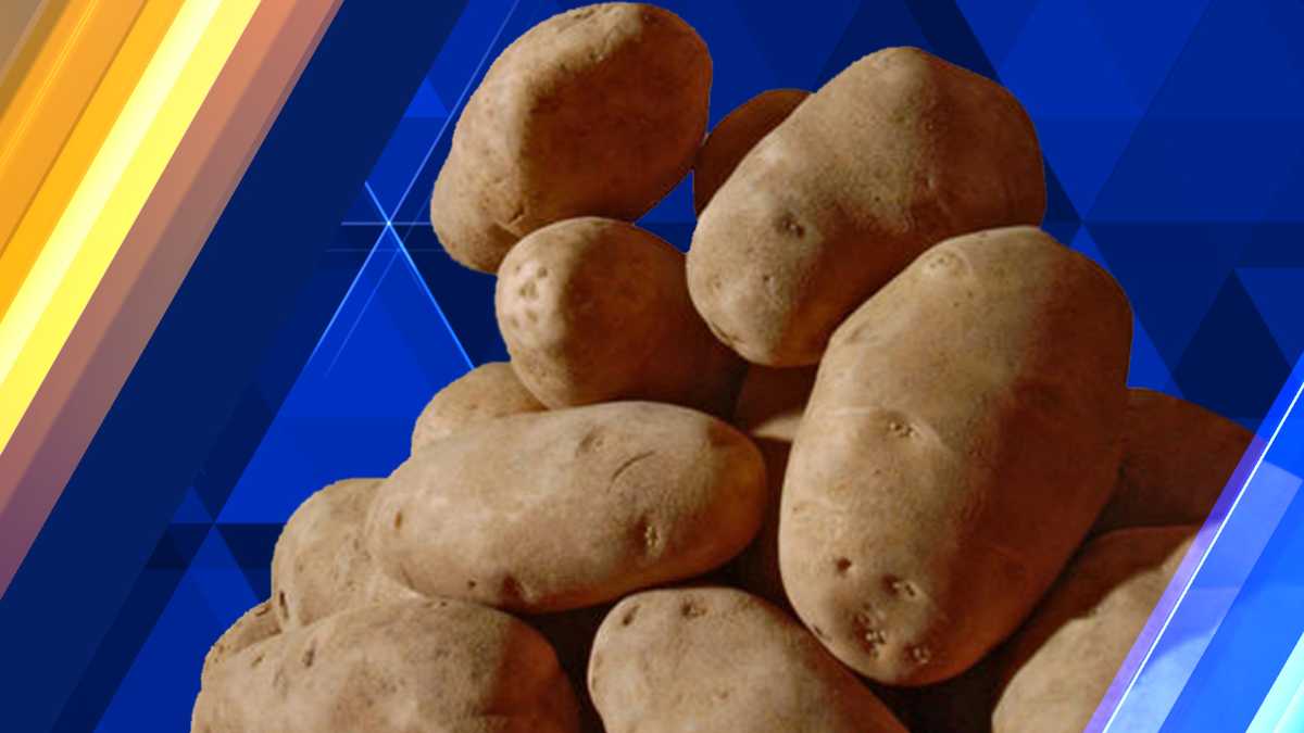 New type of potato available in Maine grocery stores starting Monday
