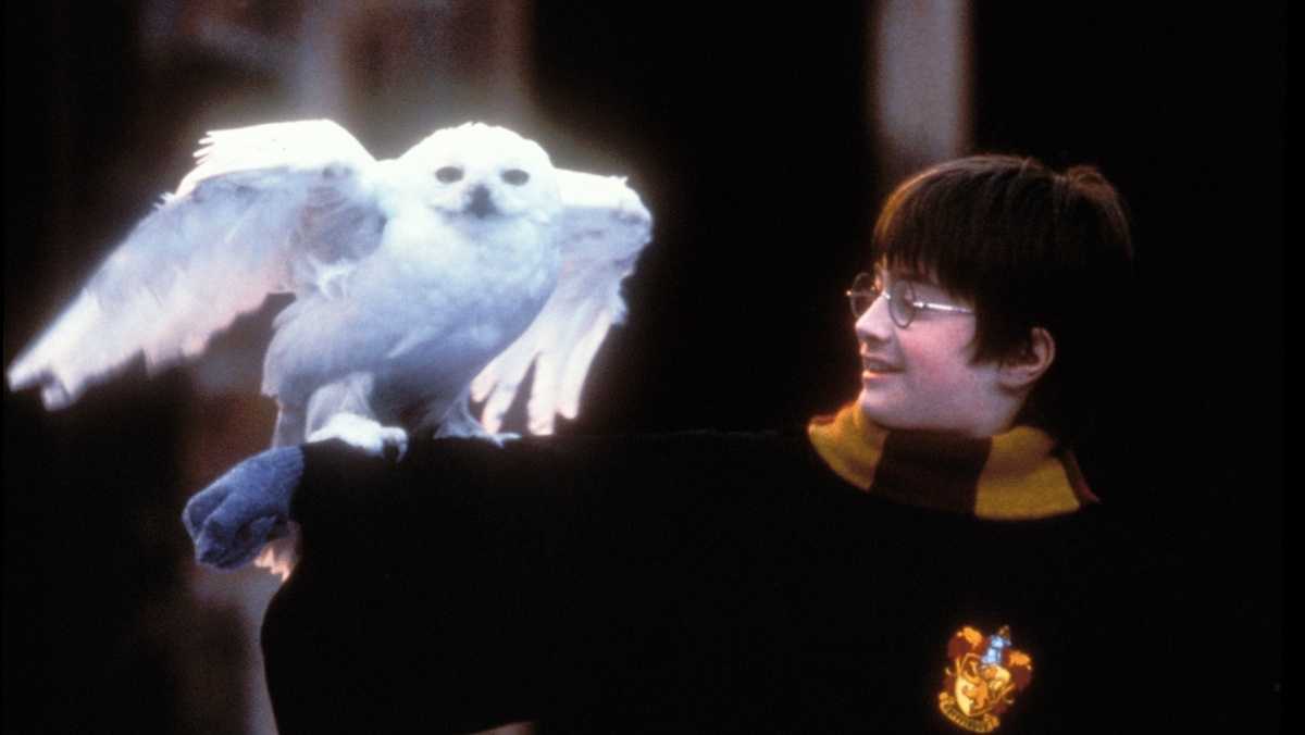 Harkins Theatres to screen all nine Harry Potter movies starting Friday