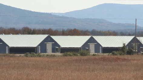 OK Foods constructing poultry houses near Cameron, OK; community raises ...