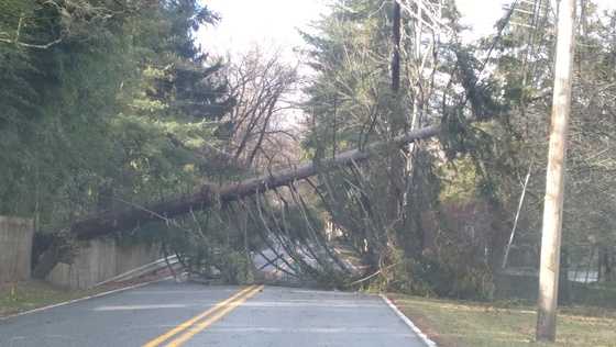 Photos capture storm damage across south-central Pennsylvania
