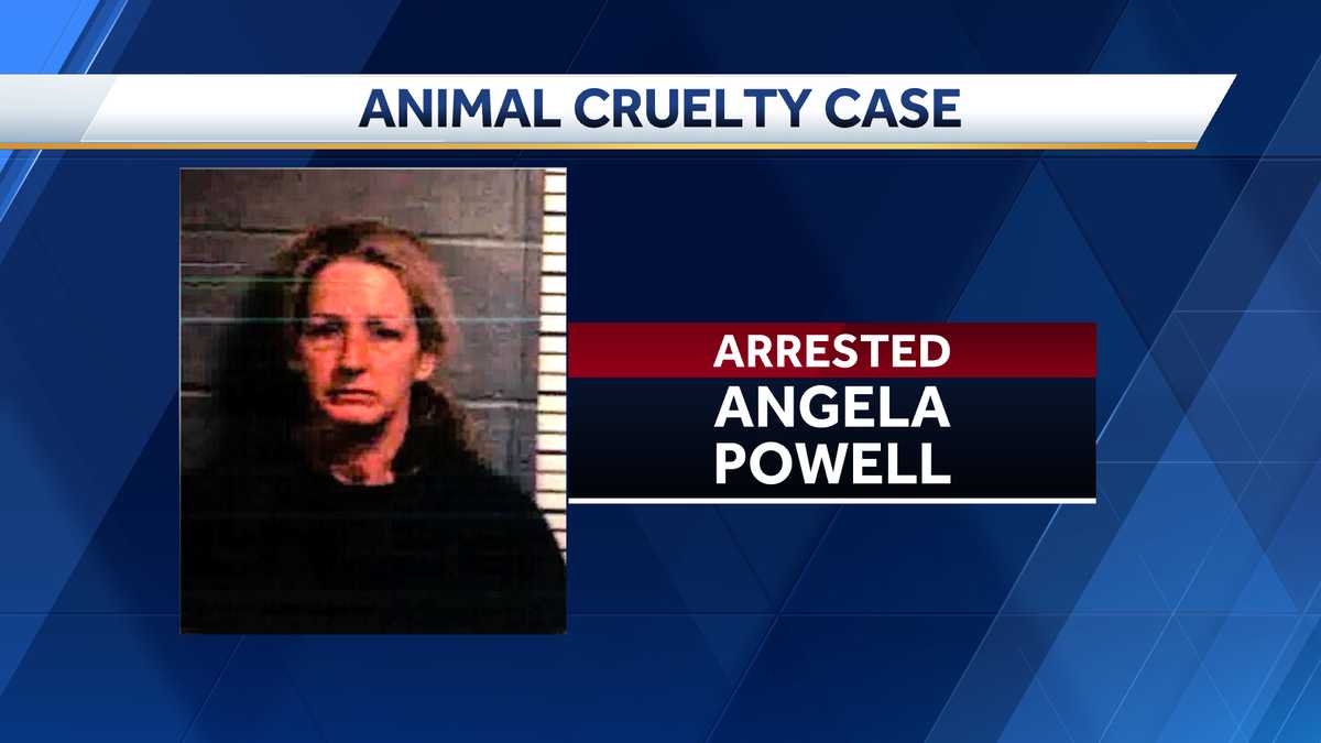 'I've never seen anything quite like it': Georgia woman indicted on 30 ...