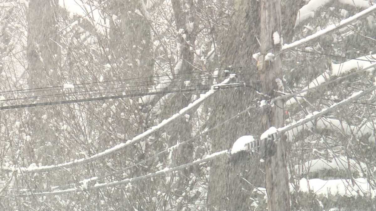 Thousands without power as ice builds on trees, powerlines