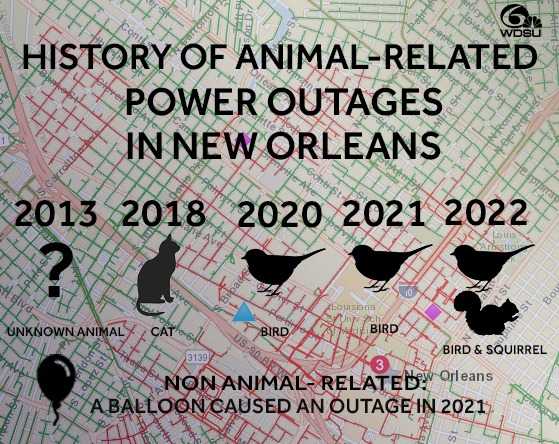 Entergy substation upgrades animal power outages