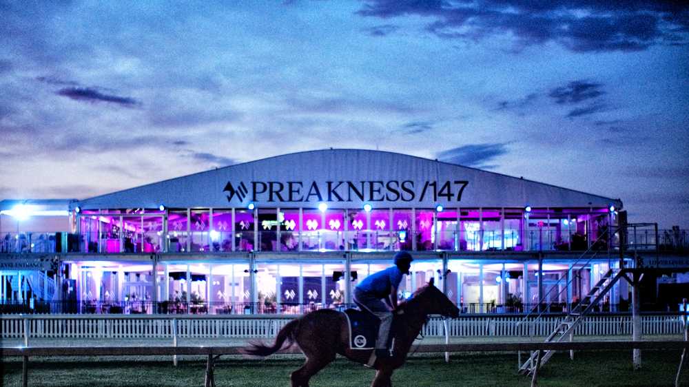 147th Preakness, the week in photos