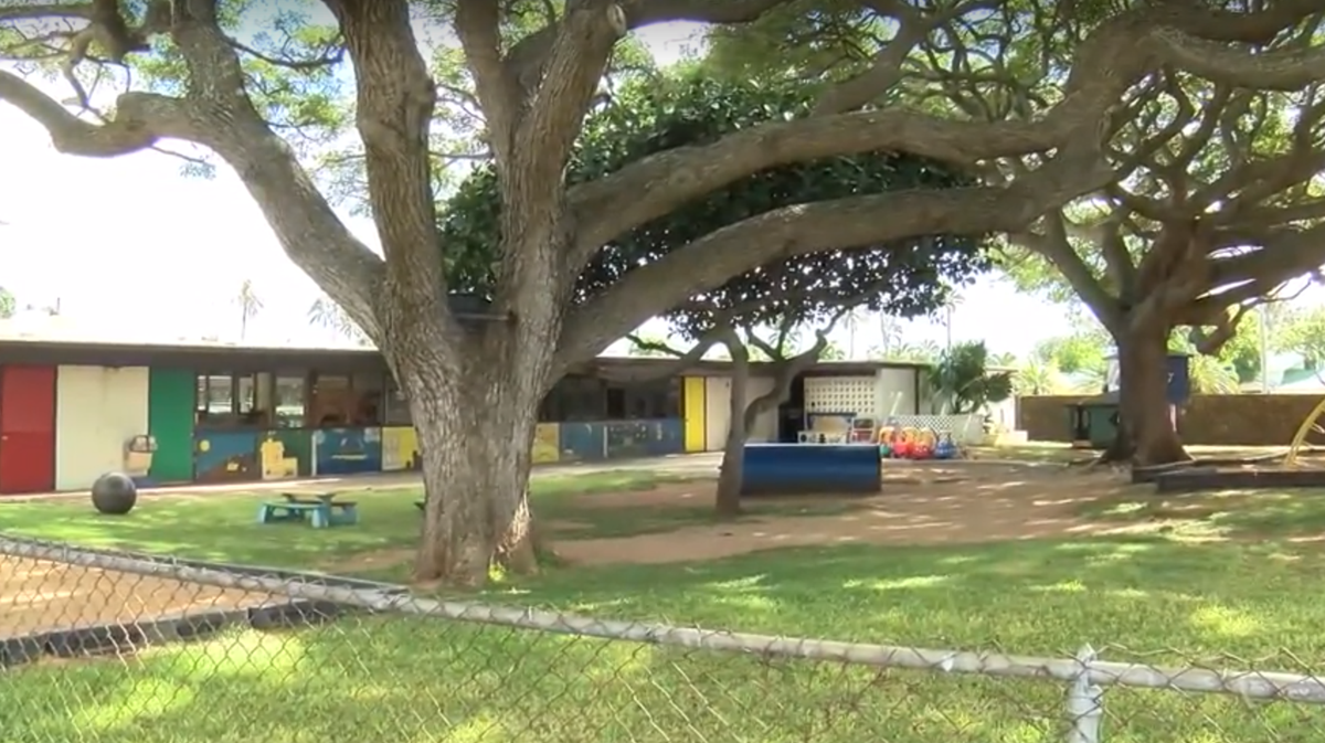 Preschool assistant accidentally serves students Pine-Sol instead of ...