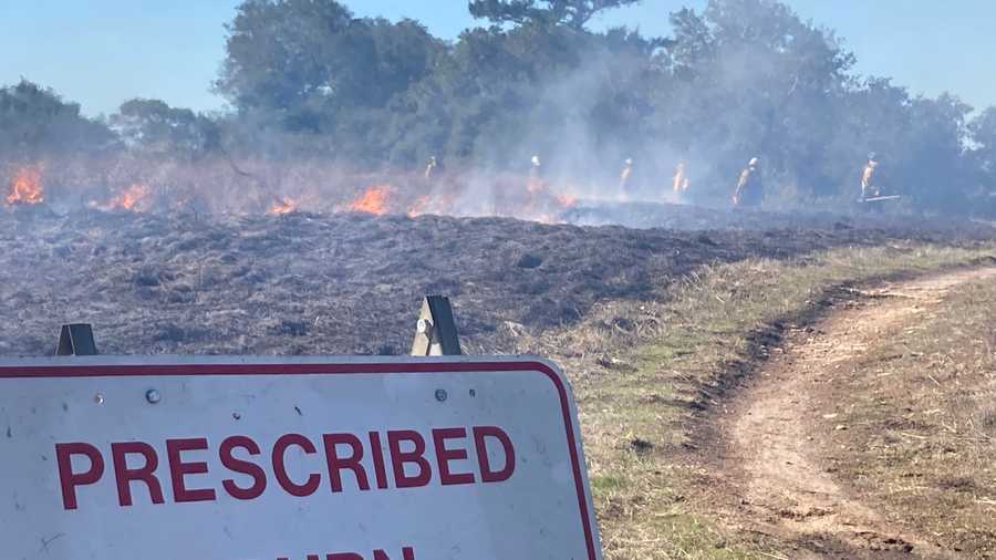 Gonzales Fire Department to conduct prescribed burns in the Gonzales slough