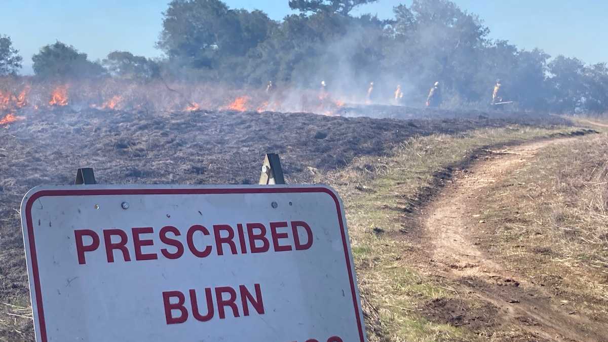 California rolls out $20 million prescribed burn protection fund