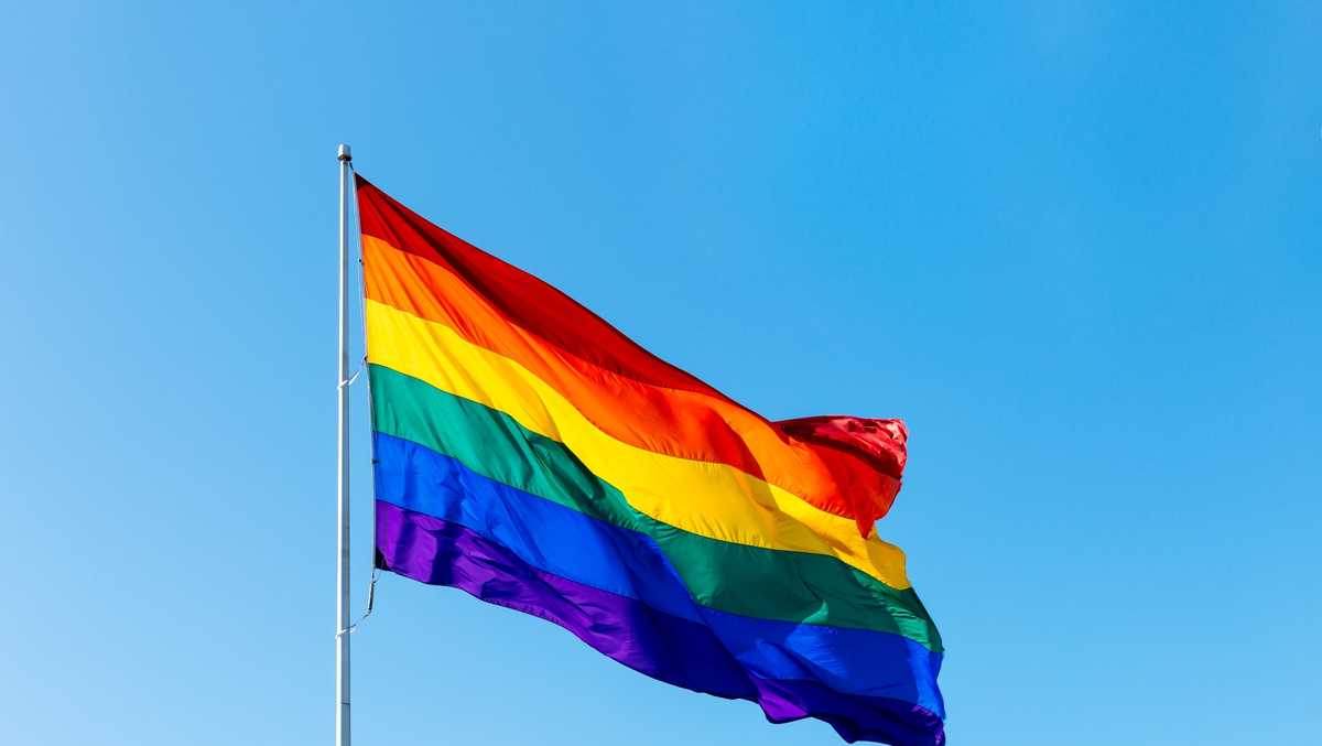 Pride Month: Activists rally against proposed anti-LGBTQ+ legislation