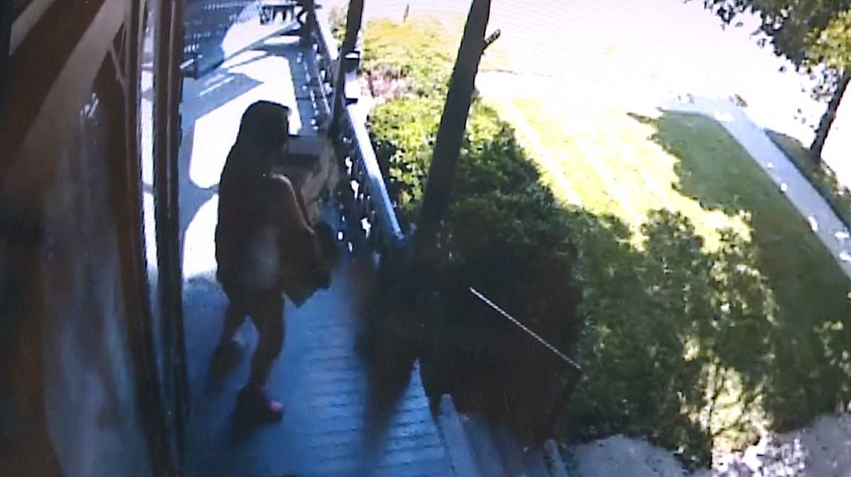 Security Camera Catches Woman Stealing Amazon Packages Off Porch