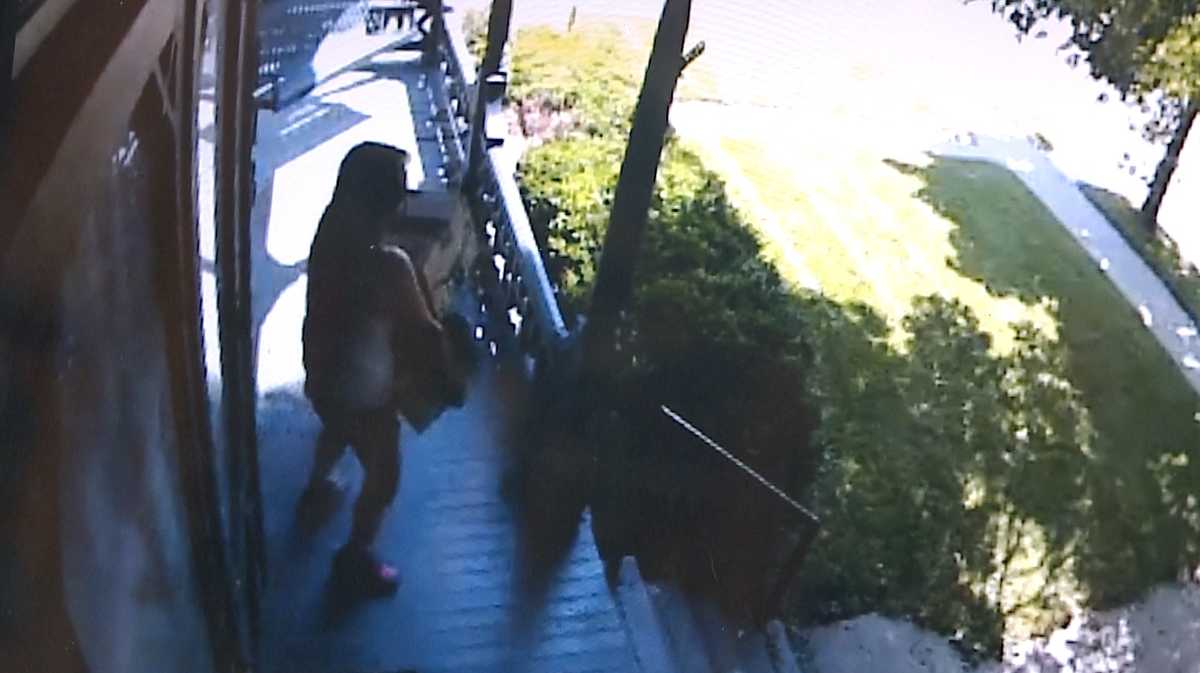 Security Camera Catches Woman Stealing Amazon Packages Off Porch