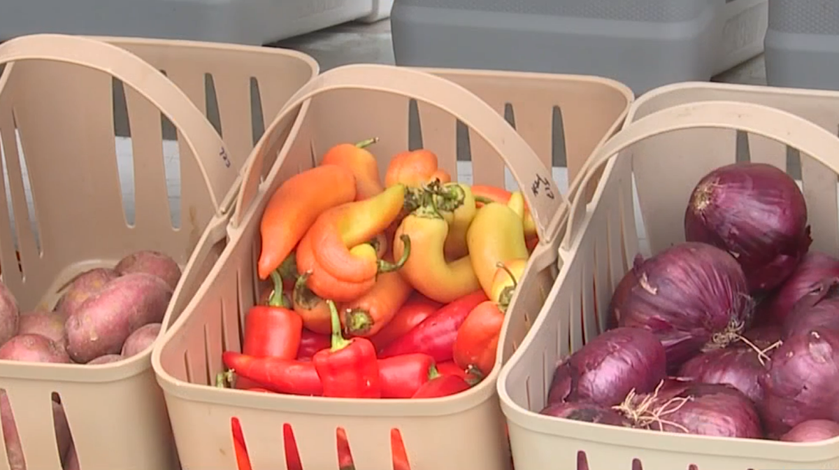 Cash for groceries: SC seniors eligible for produce program