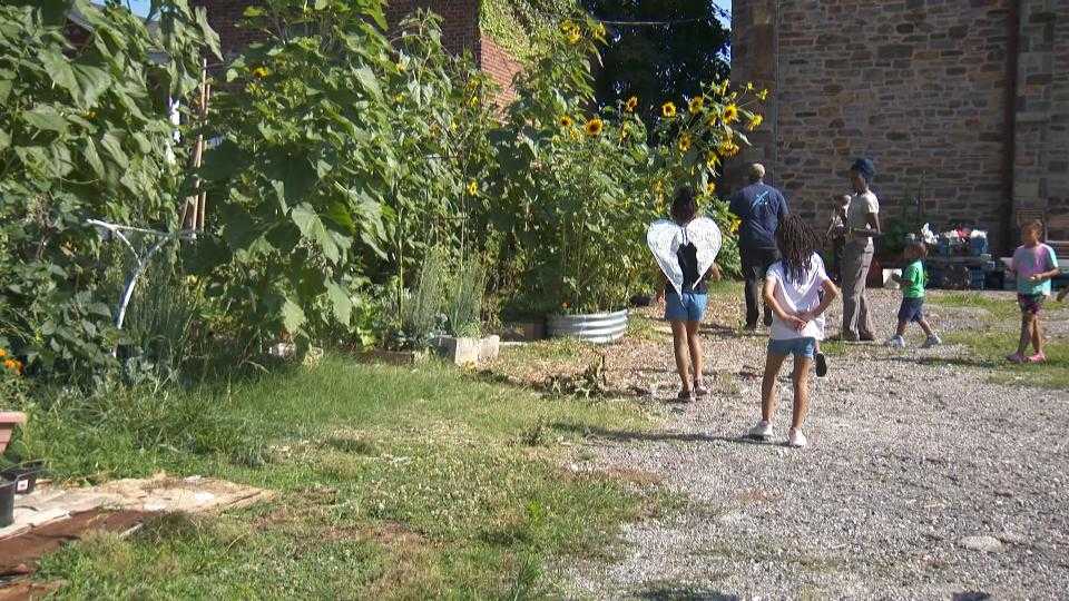Temple X Schools link children to nature