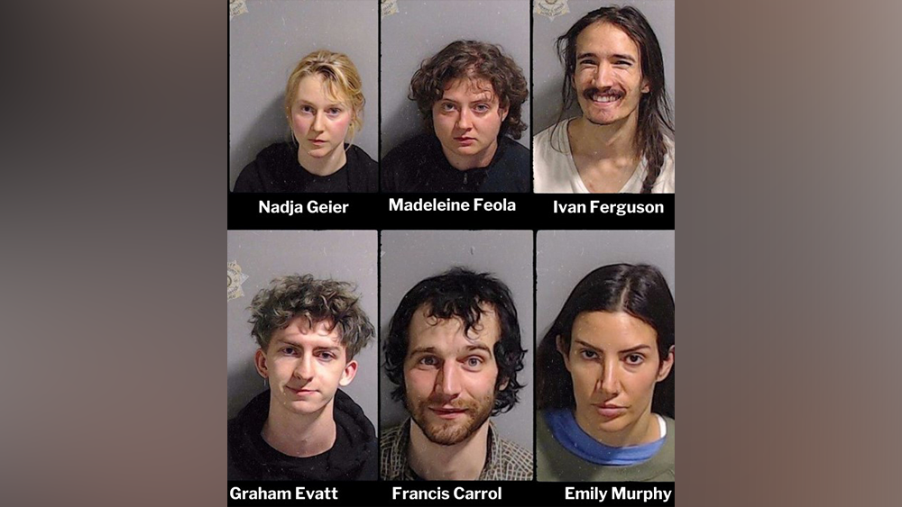 Georgia: 6 charged with domestic terrorism during police protest