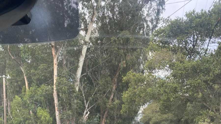 Roadway shut down as firefighters respond to vegetation fires in Prunedale