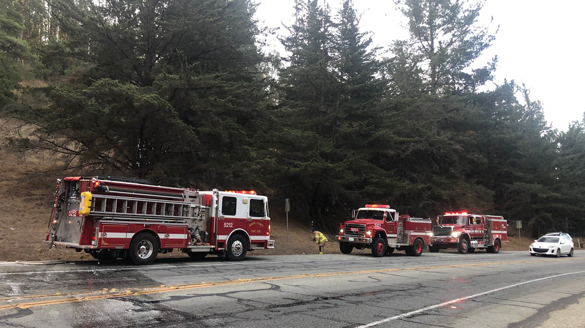 Forward progress stopped on a vegetation fire in Prunedale