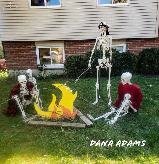 House in Hamilton creating different skeleton displays everyday this ...