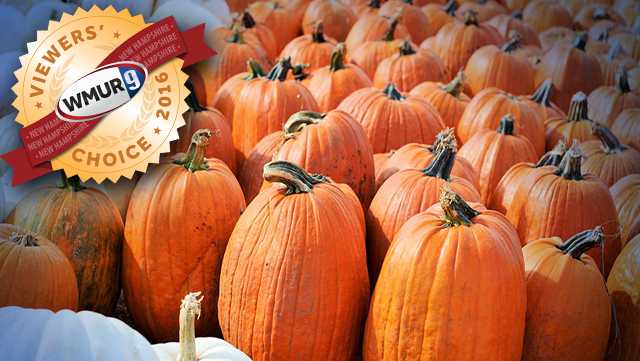Viewers' Choice 2016: Best pumpkin patch in New Hampshire