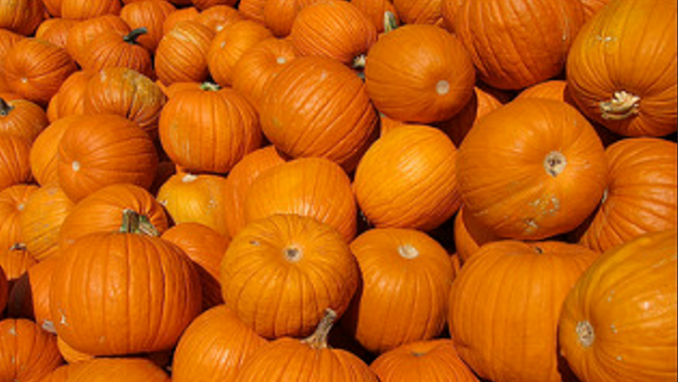 Why are we so obsessed with pumpkin spice?