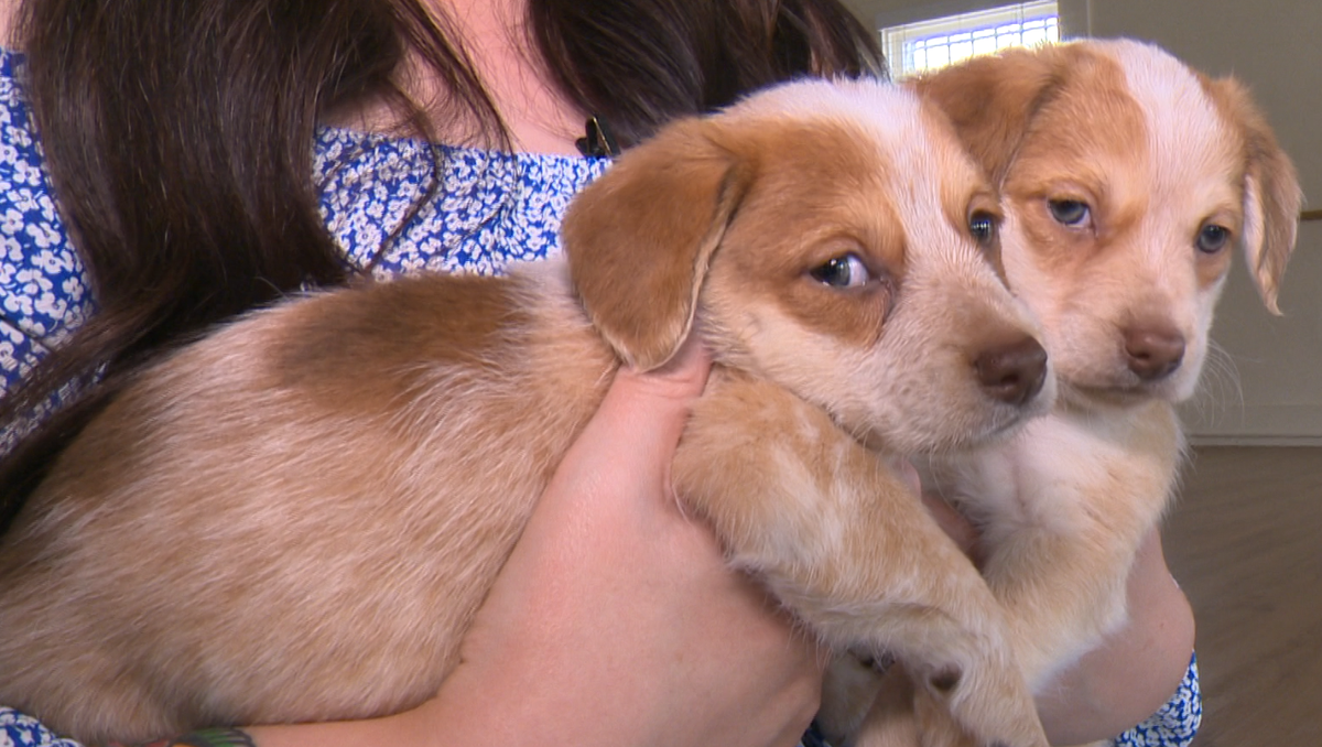 Earth Day sound bath celebrates healing while giving back to Front ...
