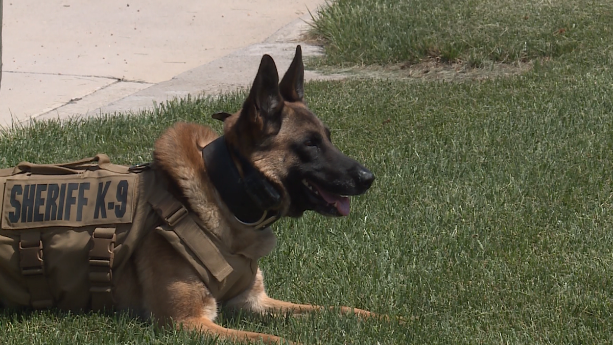 Fremont County Sheriff's Department sees major improvements