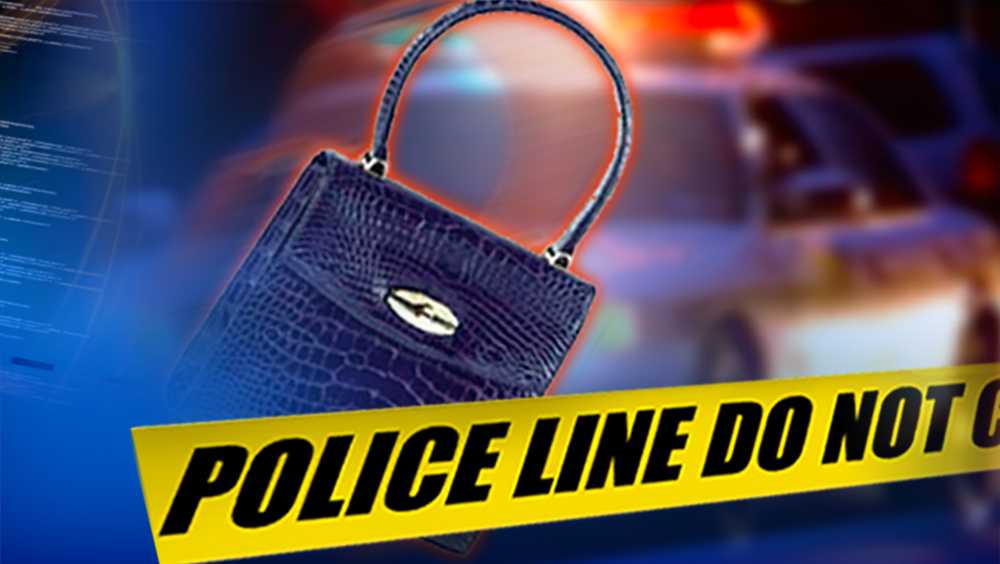 South Carolina: Woman dragged after purse stolen