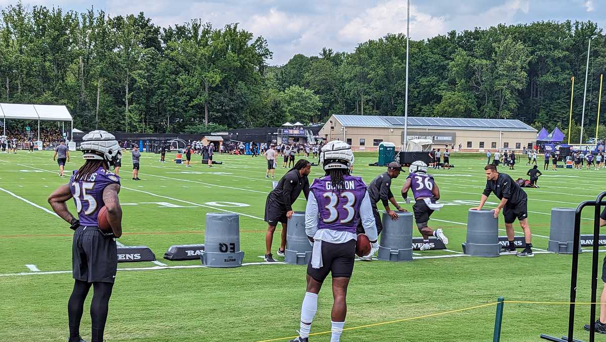 Ravens Photo Gallery: Training Camp Day 1
