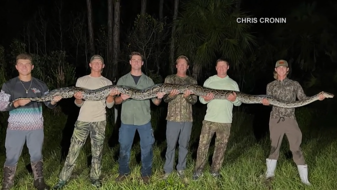 Florida man catches 16-foot python with his bare hands