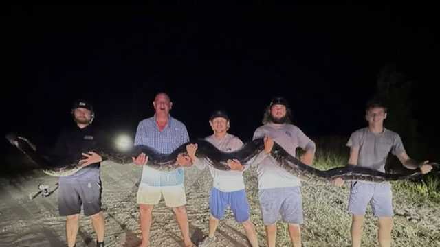 Second heaviest Burmese python in Florida captured