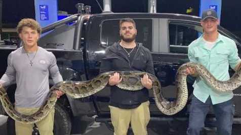 Florida college students capture 17-foot-long python