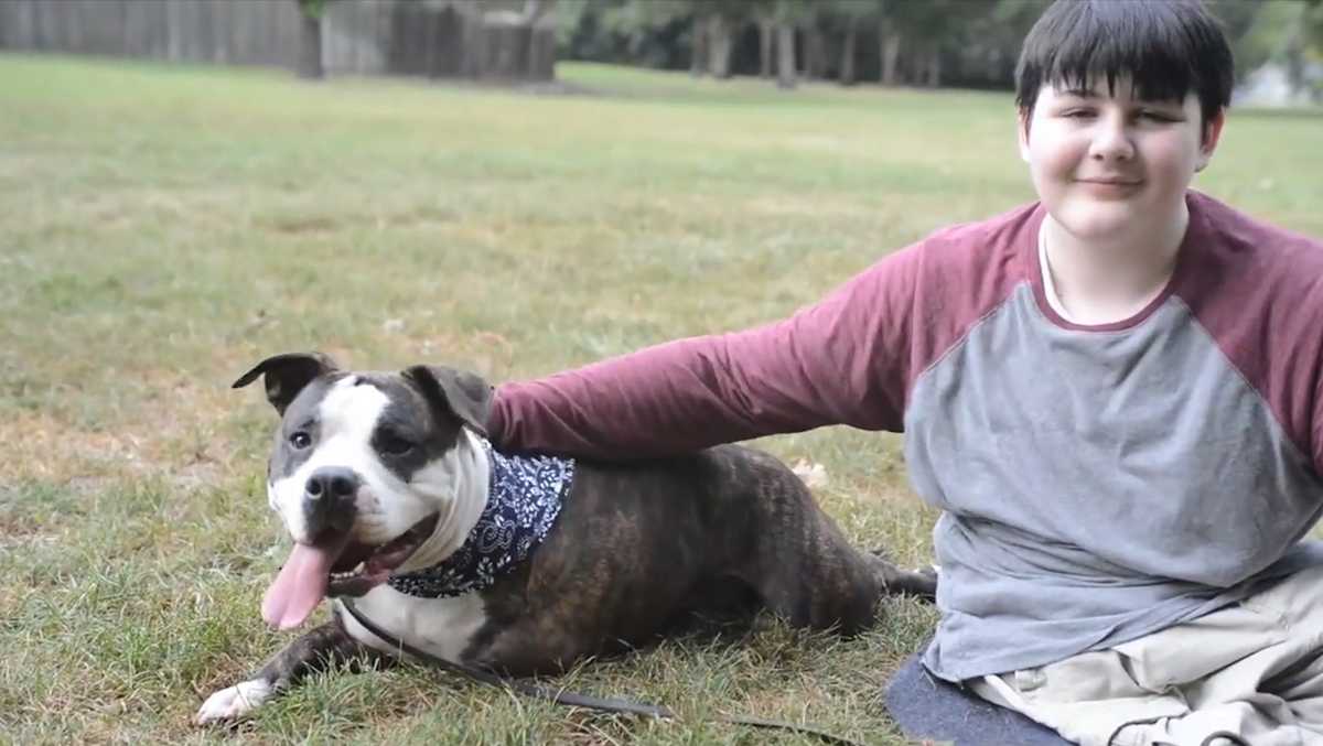 Boy who lost leg to cancer creates unbreakable bond with 3-legged dog