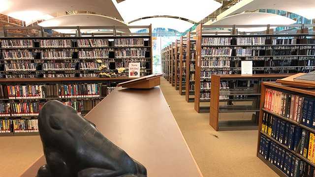 Jackson Hinds Library System unveils strategic plan