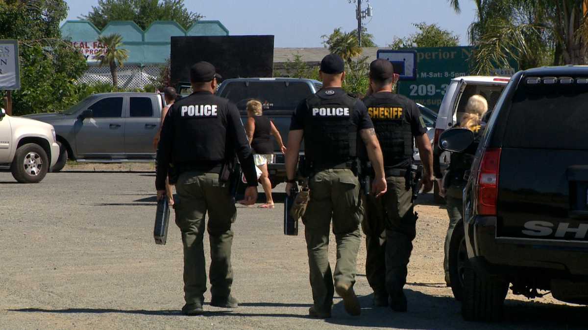 Illegal marijuana raid near Galt one of largest in Sac Co