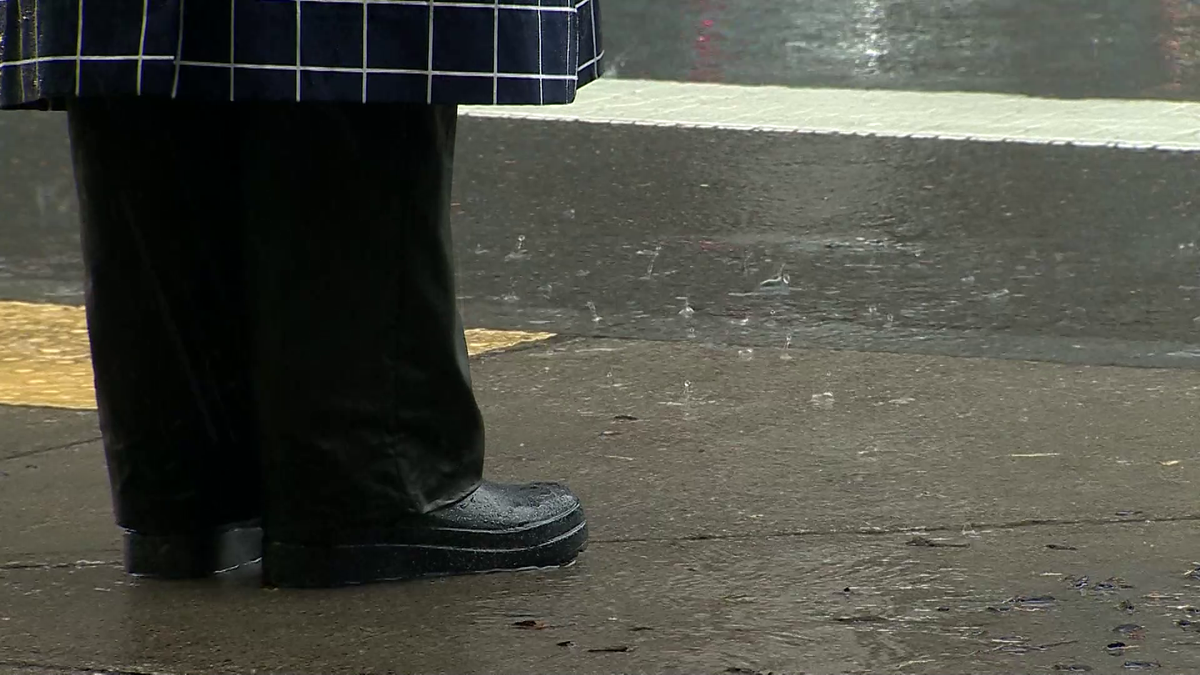 How much rain fell Thursday across Massachusetts? Rainfall reports from ...