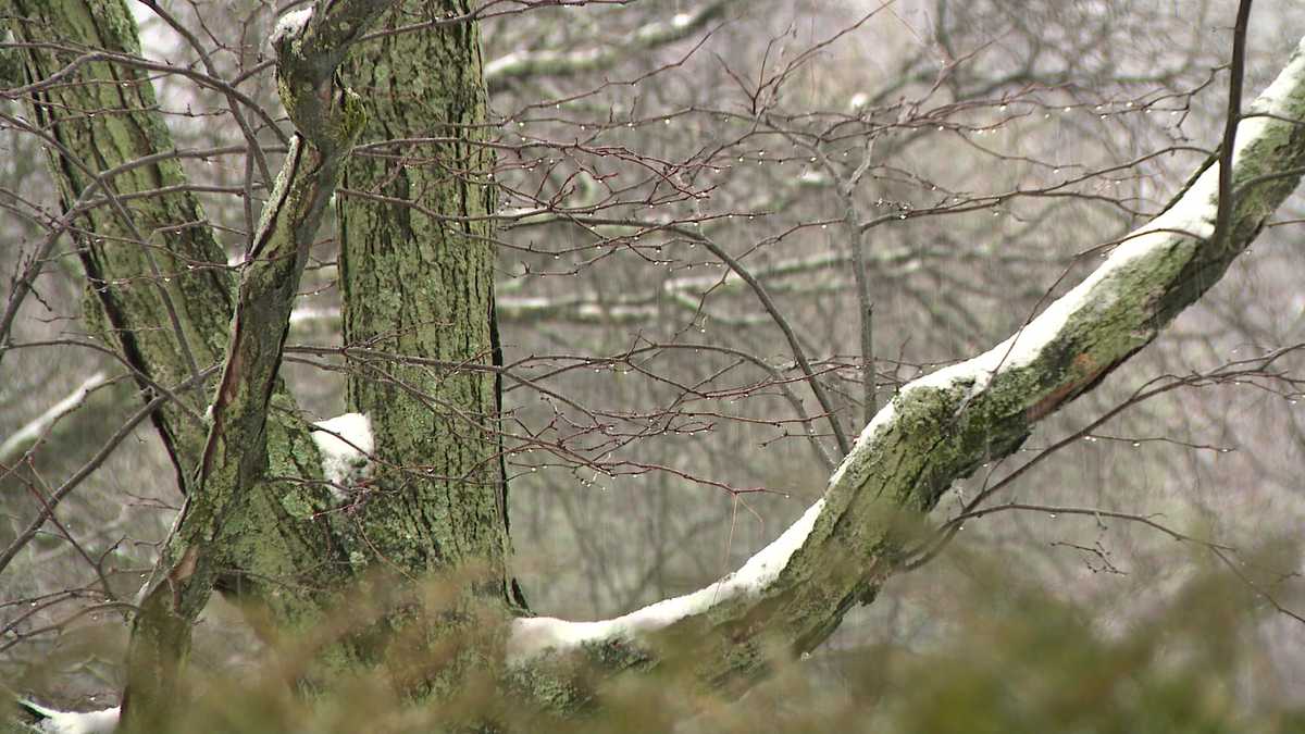 La Niña's impact on Western Pennsylvania: Wetter winter?