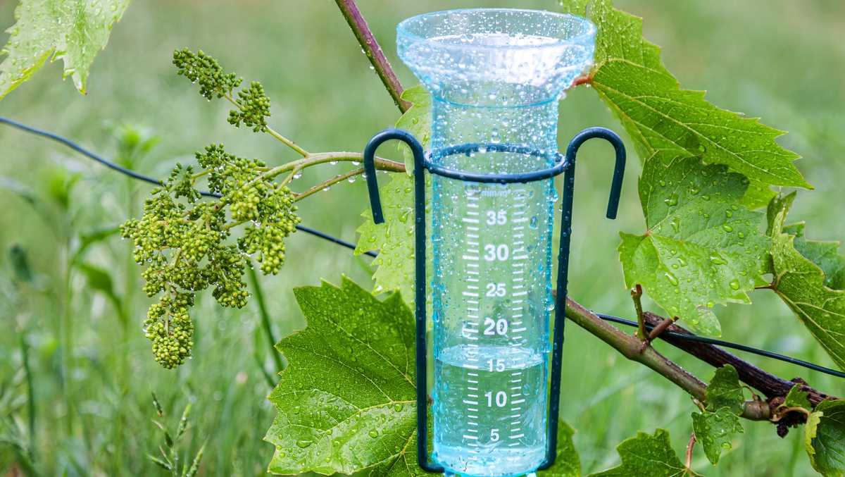 Rainfall totals in Vermont, New York for July 10, 2024 Rainfall totals in Vermont, New York for July 10, 2024