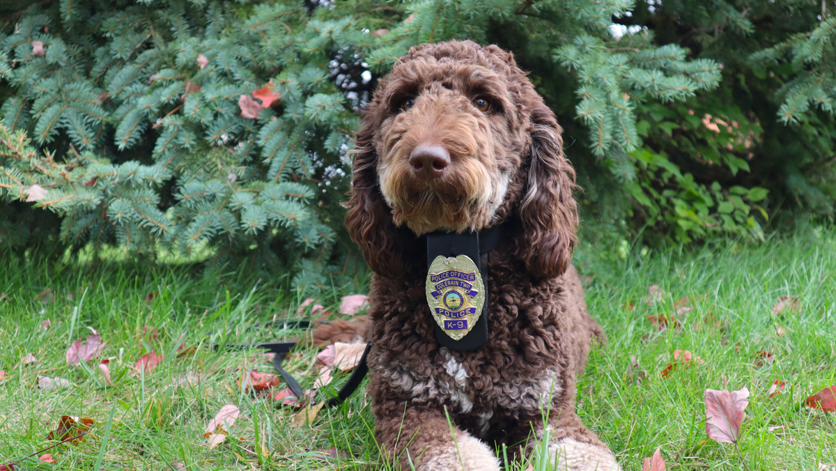 Colerain Township Police Department welcomes emotional support K-9