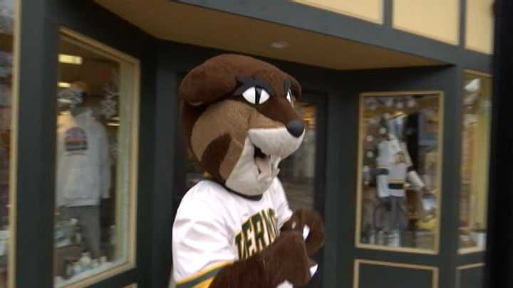 New statue of UVM mascot could roar onto Church Street Marketplace