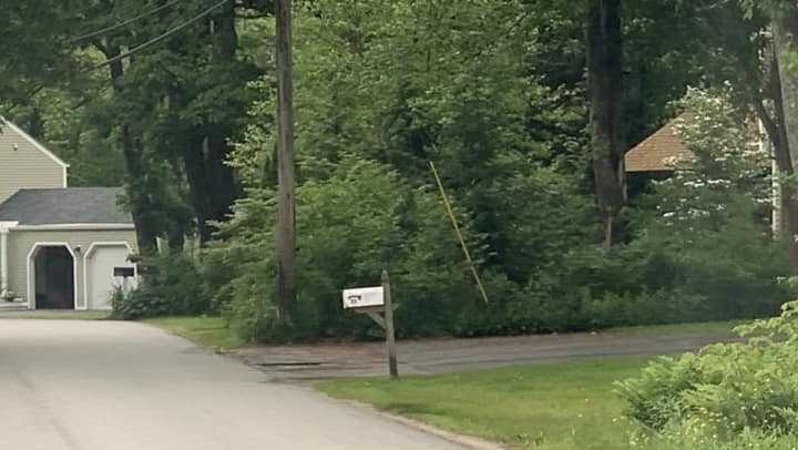 Ram on the lam no more; Wayward Cape Elizabeth animal caught