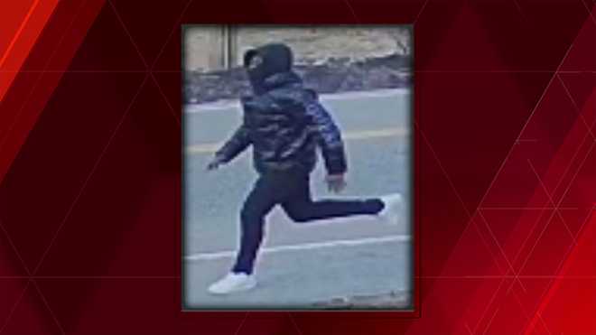 USPS letter carrier robbed while delivering mail in Randolph USPS letter carrier robbed while delivering mail in Randolph