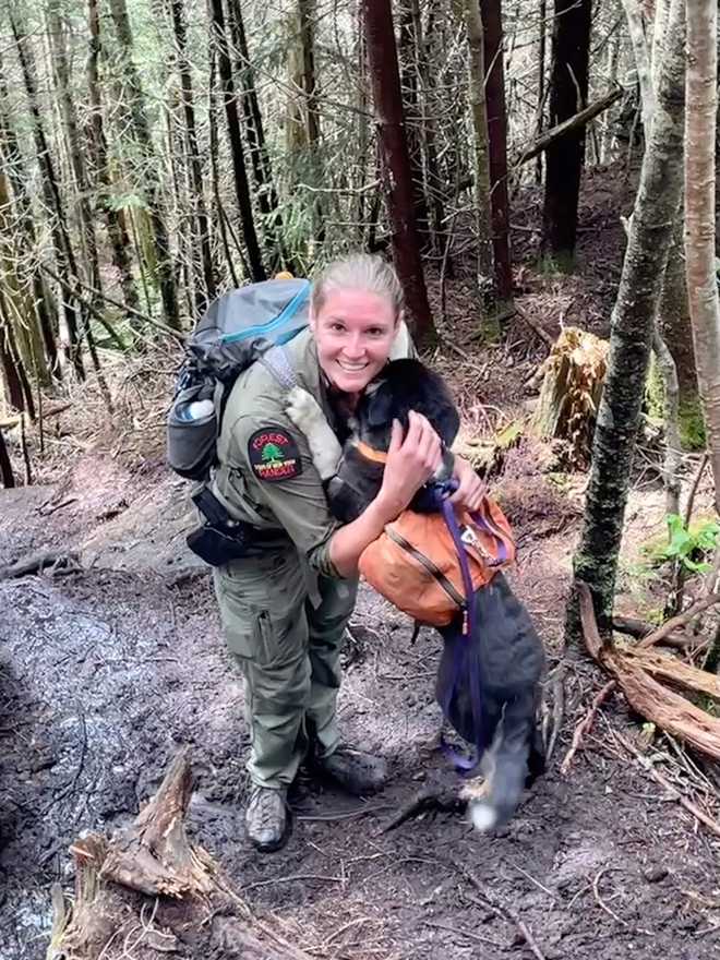 New York DEC Rangers rescue puppy on McKenzie Mountain in North Elba