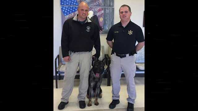 K-9 Voodoo joins Rankin County Sheriff’s Department