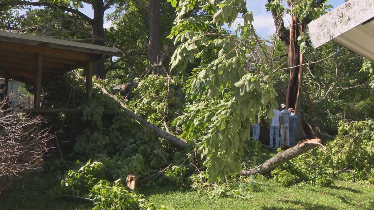 Pearl resident describes close call when massive tree falls on house ...